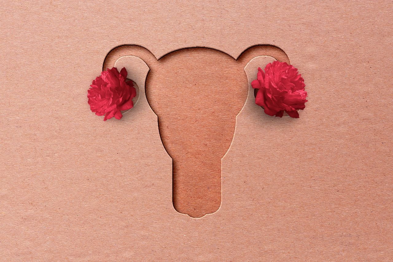 What Is Progesterone?