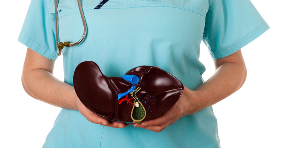 Spare Organs & Their Functions - Baptist Health